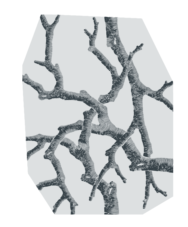 Edward Fields | Clelia