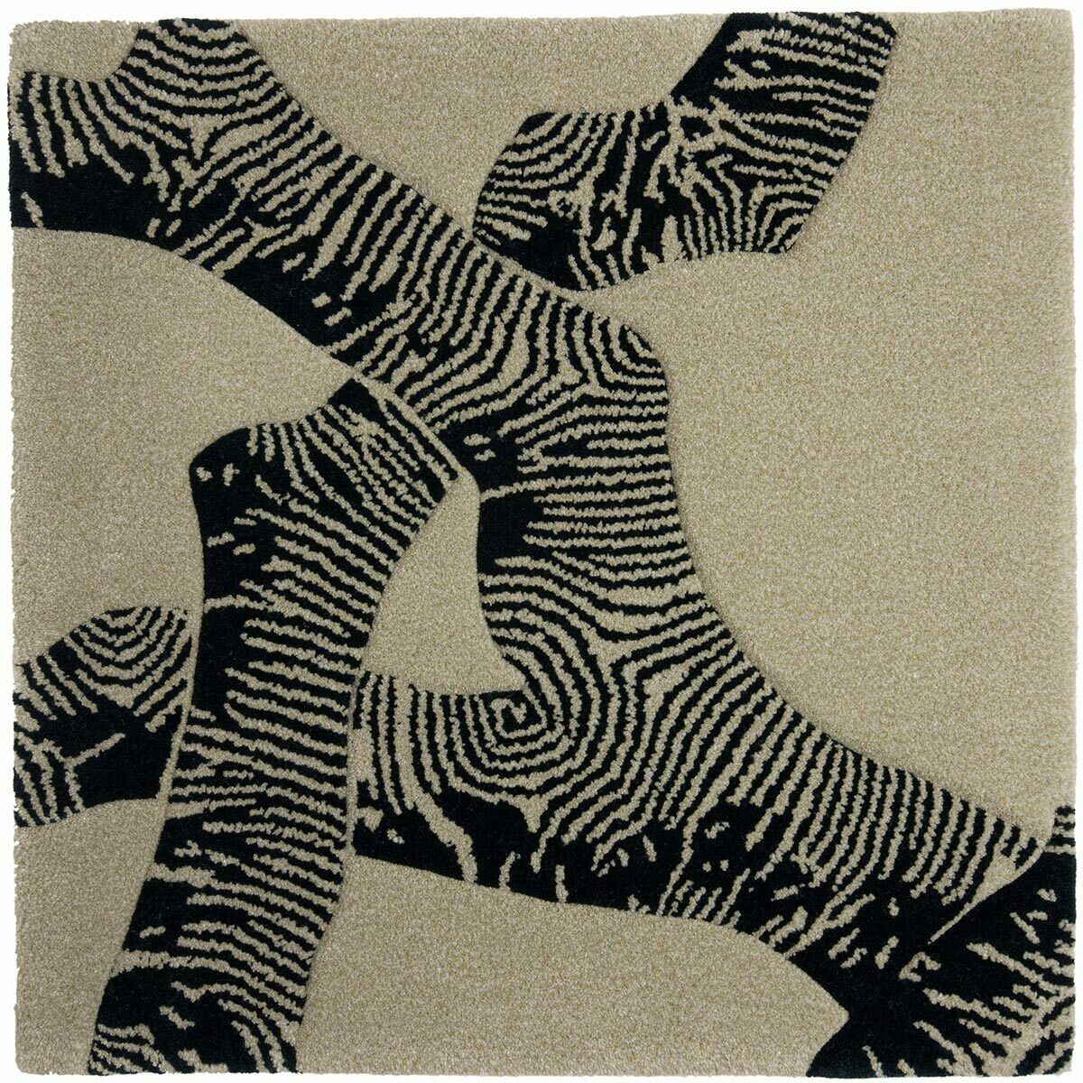 Edward Fields | Clelia