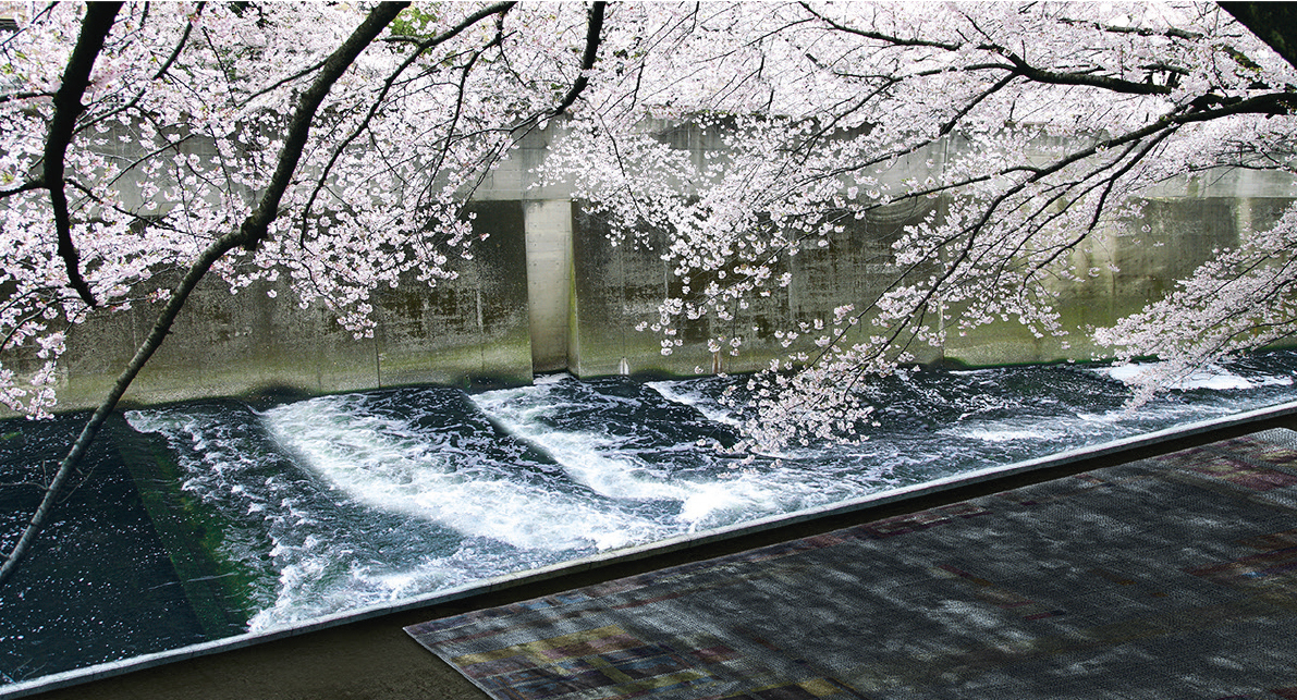 Edward Fields | Taki II