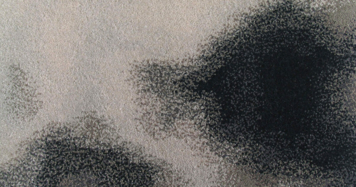 Edward Fields | AV Diffusion II