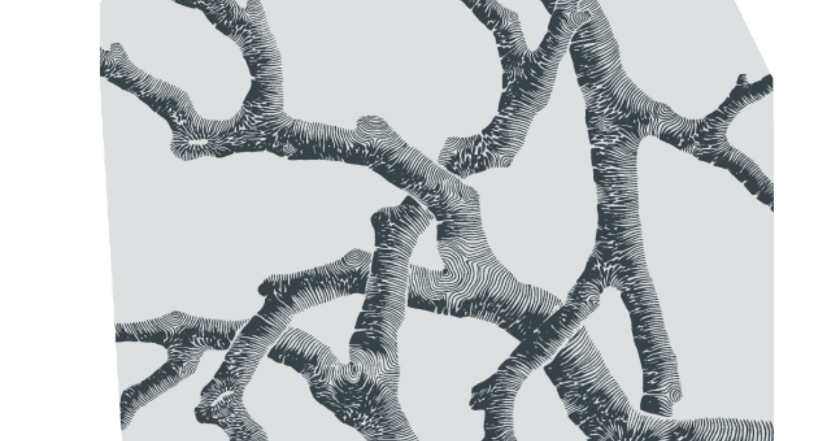 Edward Fields | Clelia