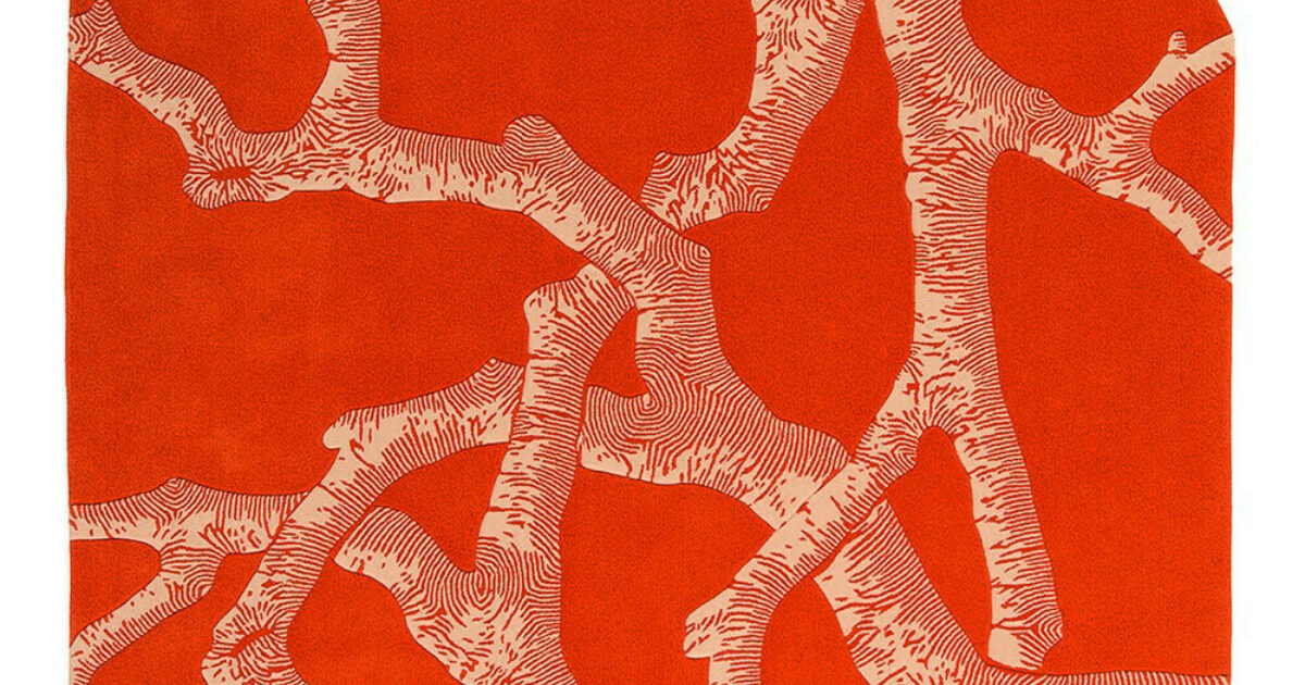 Edward Fields | Clelia Firebird