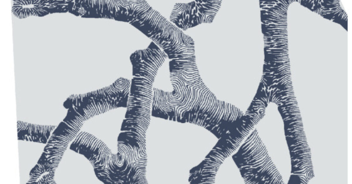 Edward Fields | Clelia Sonata