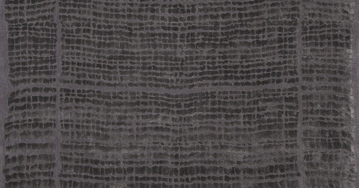 Edward Fields | Net Worth I